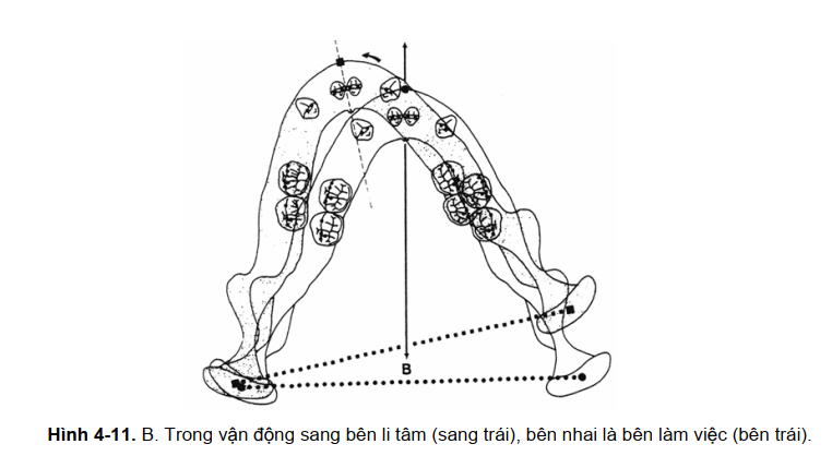VẬN ĐỘNG CỦA HÀM DƯỚi TRÊN MẶT PHẲNG NGANG VÀ MẶT PHẲNG ĐỨNG NGANG